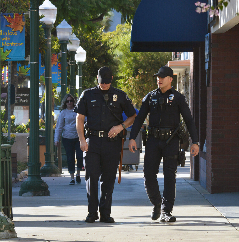 Why Field Training Officer Programs are the Foundations of Police ...